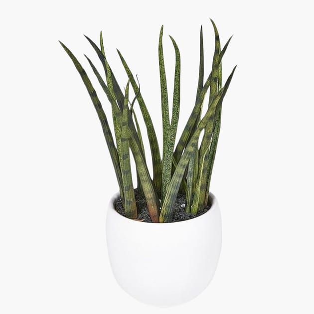 Agave Faux Plant - GREEN PLASTIC | Marina Home Qatar