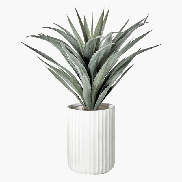 Buy Online Giant Agave In Pot,MULTICOLOR,PLASTIC | Marina Home ...